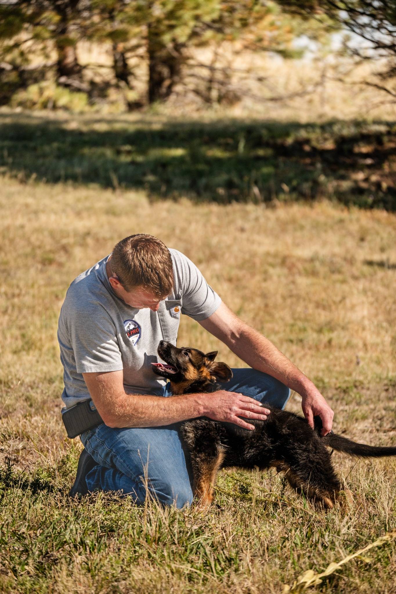 All Pro Dog Training